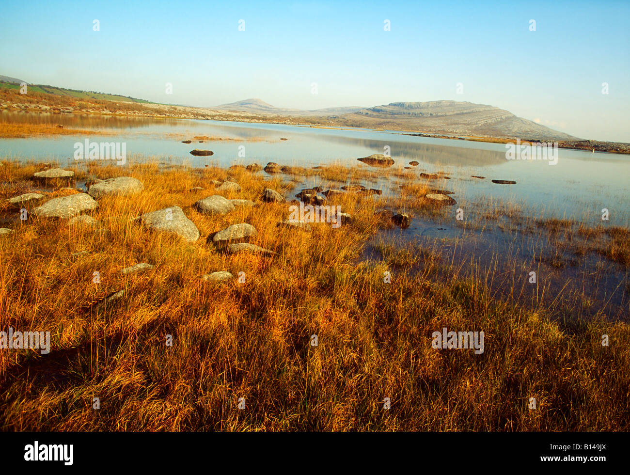 Ireland, Flooded marsh Stock Photo - Alamy