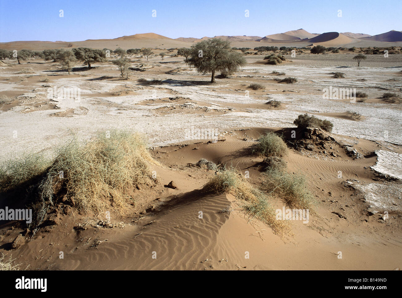 Desert Definition Geography