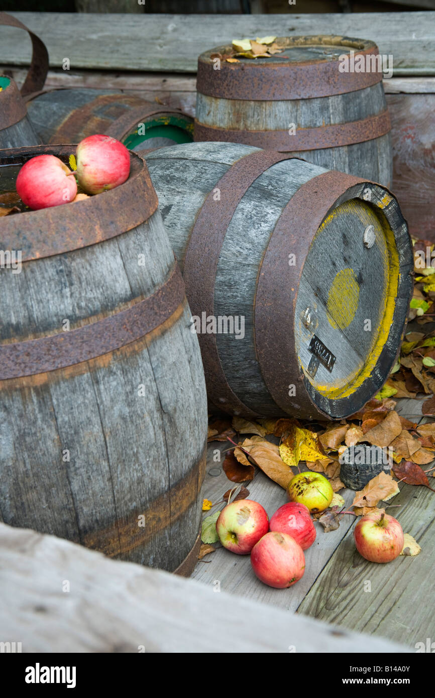Perry's Cider, Somerset, UK. Traditional cider producers, old oak ...