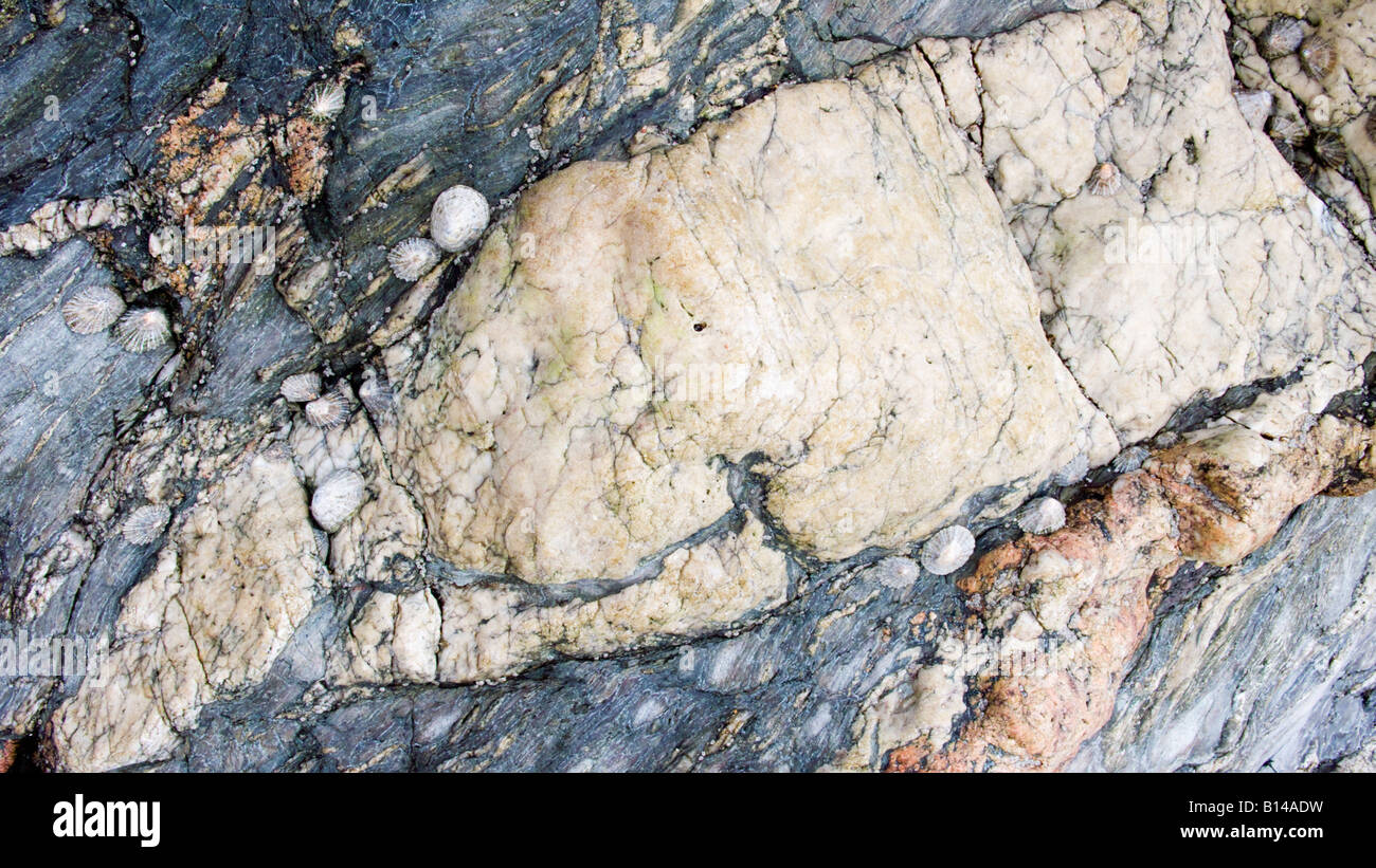 Beach detail at Start Point, Devon, UK Stock Photo - Alamy
