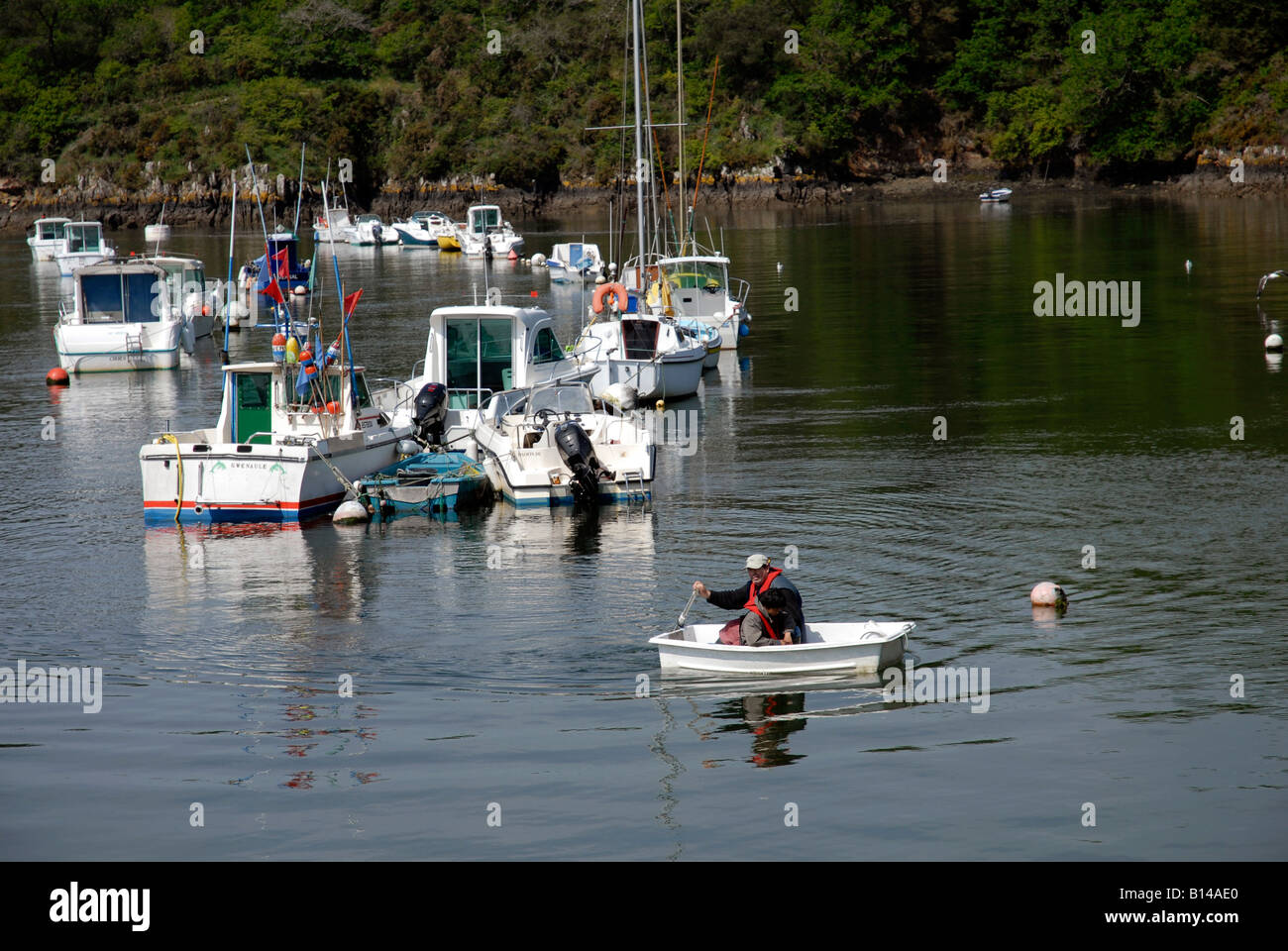 Riec-sur-Belon harbour, Belon river Finistere Bretagne Brittany France ...