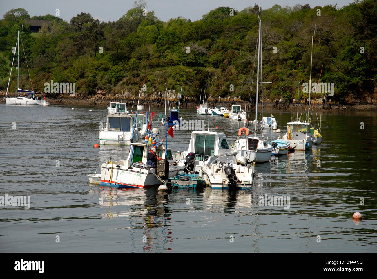 Riec-sur-Belon harbour, Belon river Finistere Bretagne Brittany France ...