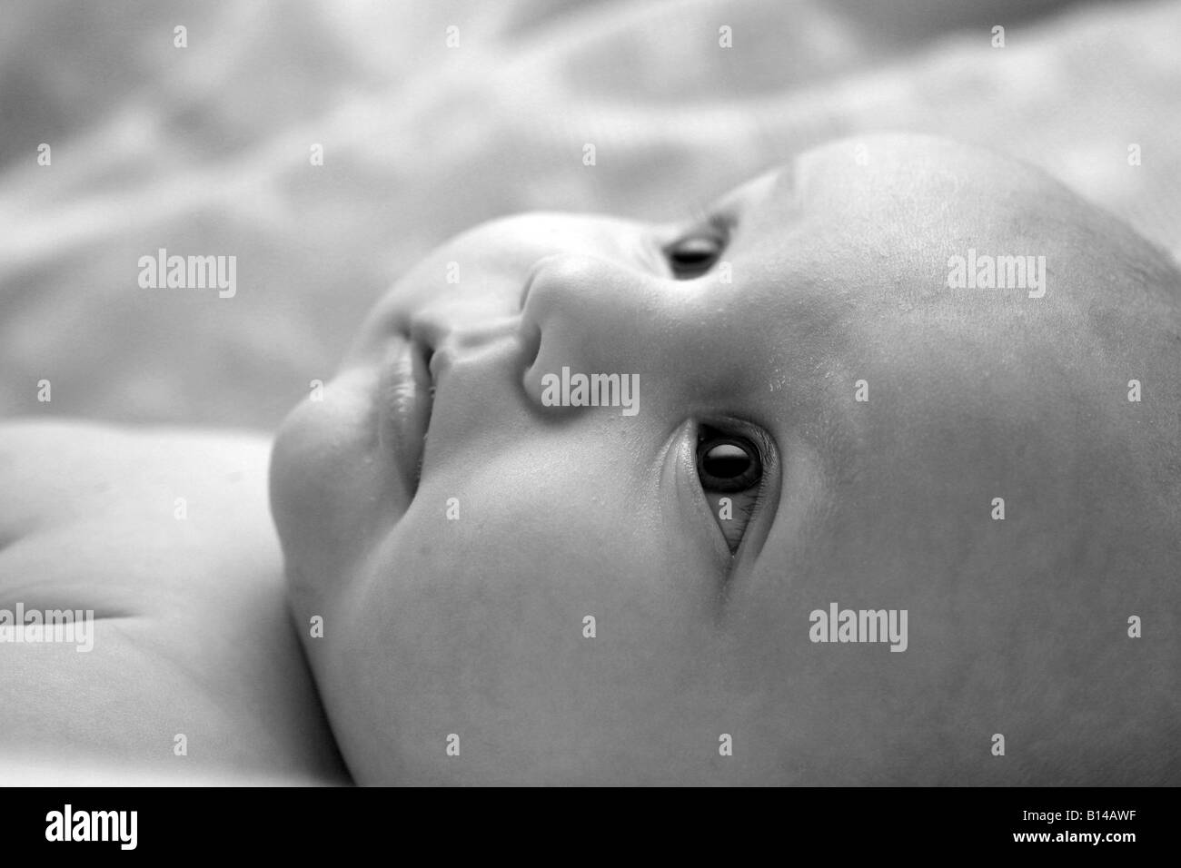 Portrait of a baby watching Stock Photo - Alamy