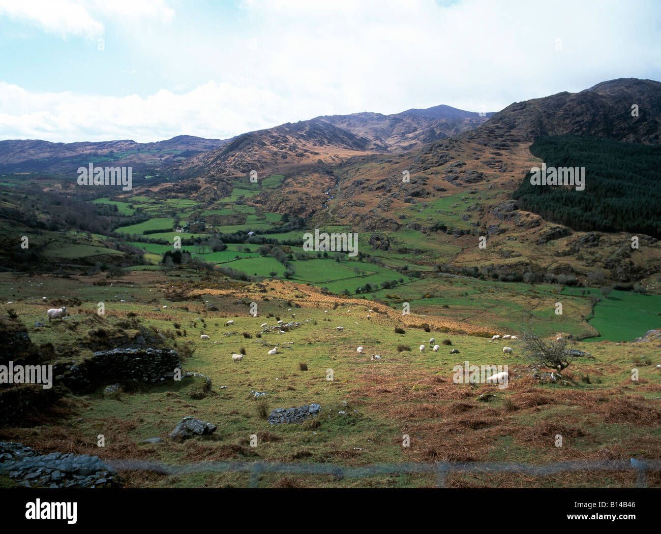 fertile valley in the irish landscape Stock Photo - Alamy
