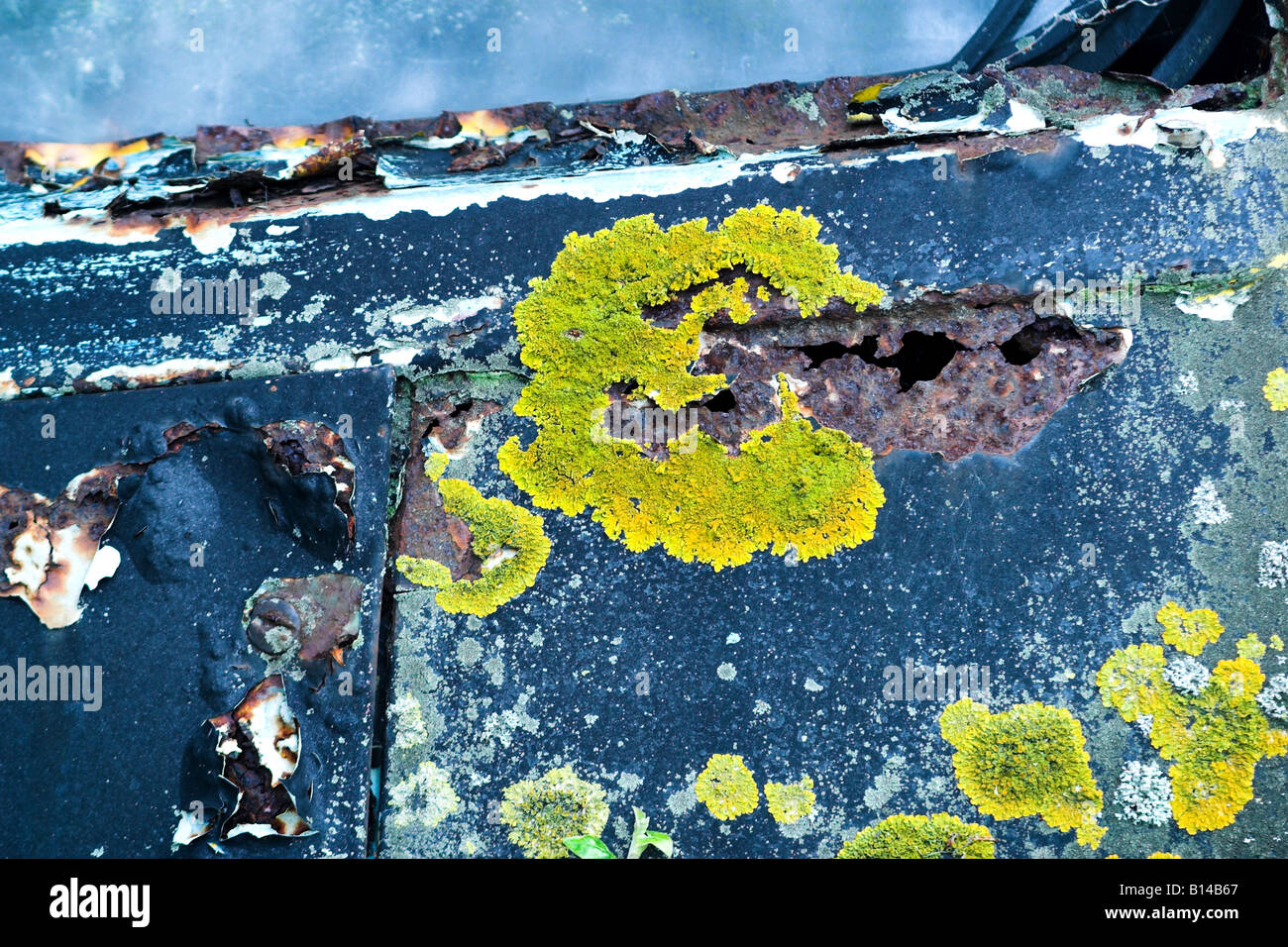 Lichen and rust on body of old van. Somerset. England Stock Photo - Alamy