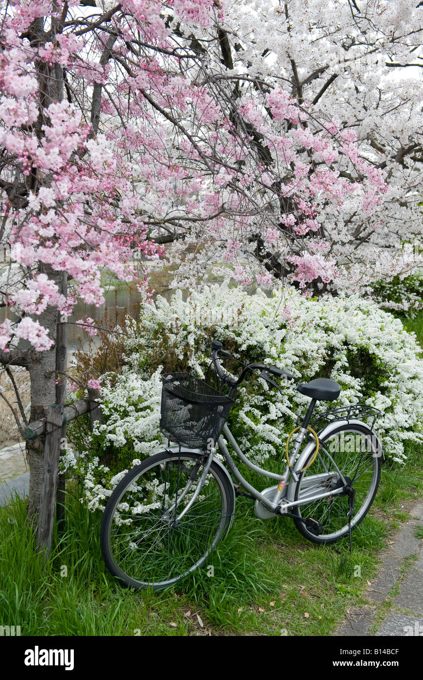Cycle kyoto sakura hi-res stock photography and images - Alamy