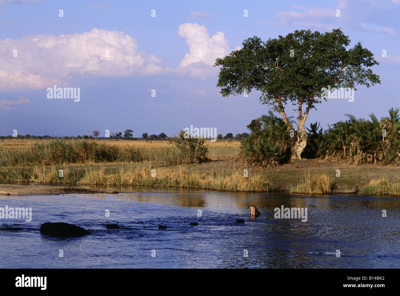 geography / travel, Namibia, landscapes, Cuando River, Caprivi Strip ...