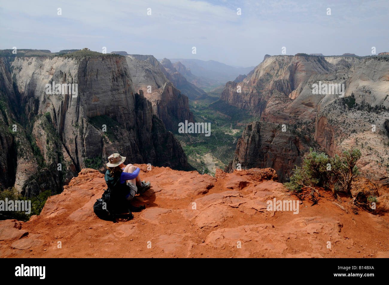 Person enjoys the view as they look over Zion canyon Stock Photo - Alamy