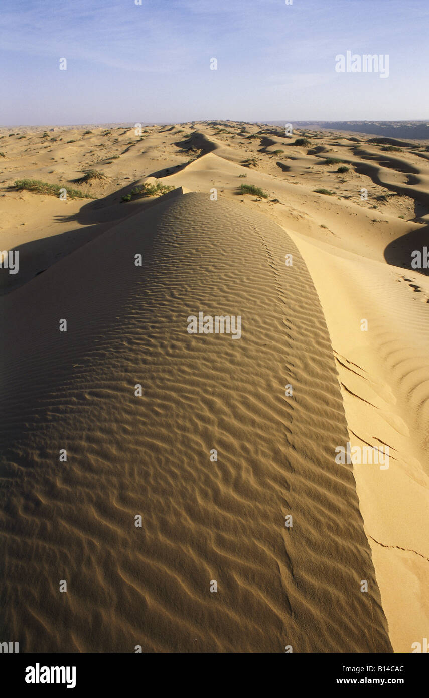 geography / travel, Oman, landscapes, Wahiba Sands, dunes, Additional ...