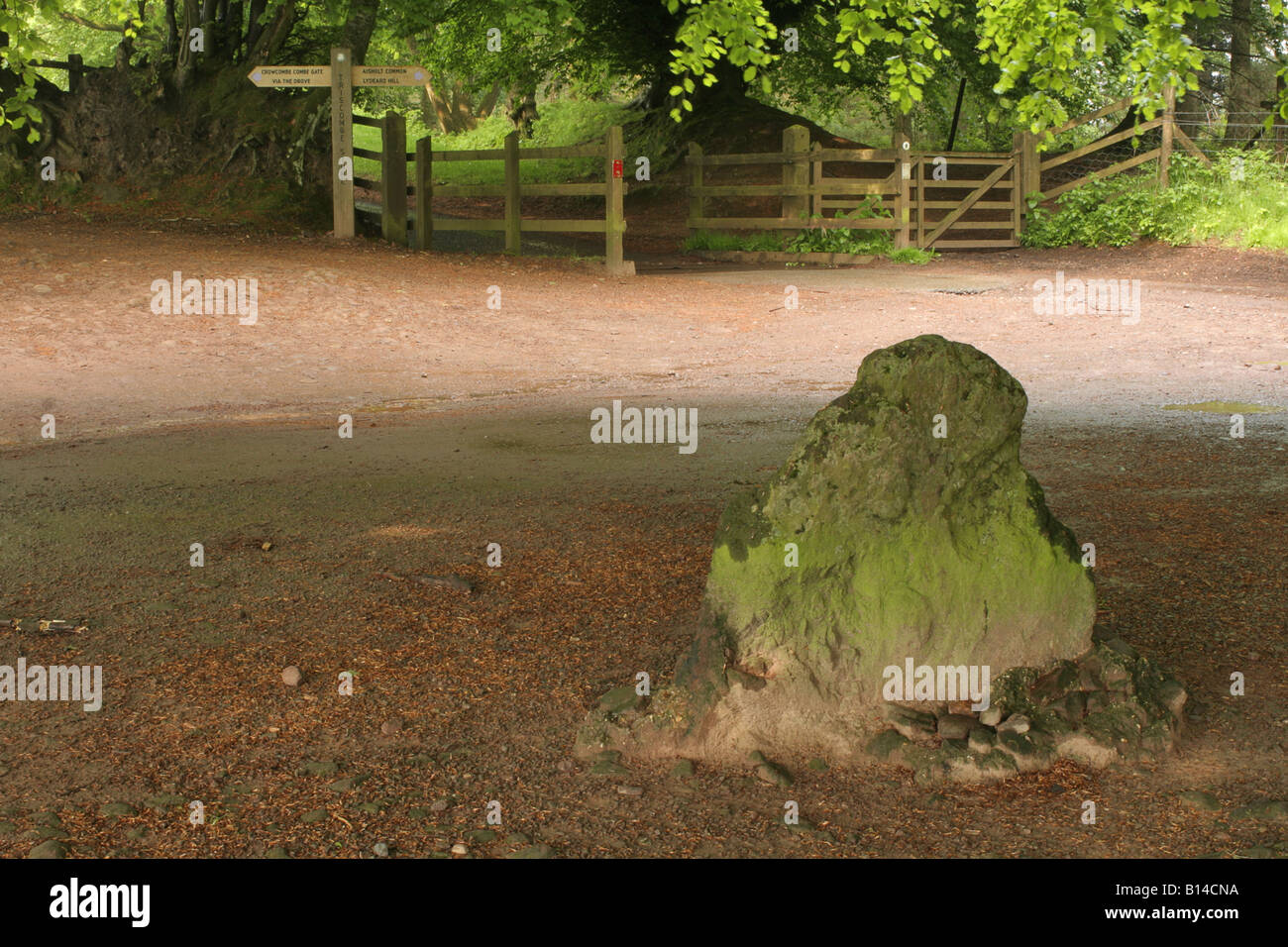 Triscombe Stone High Resolution Stock Photography and Images - Alamy