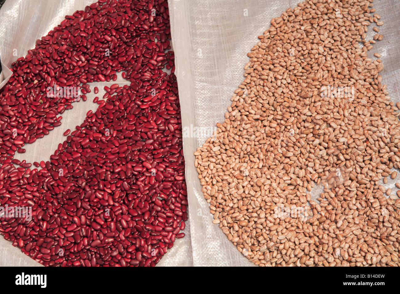 Tepoztlan Mexico market beans Stock Photo - Alamy