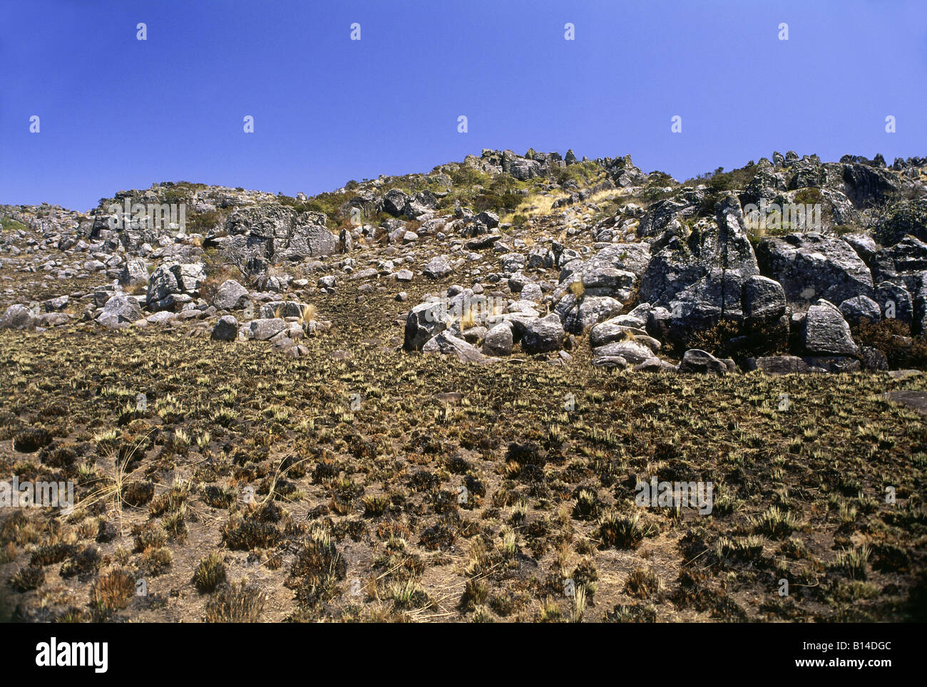 Nyanga mountains hi-res stock photography and images - Alamy