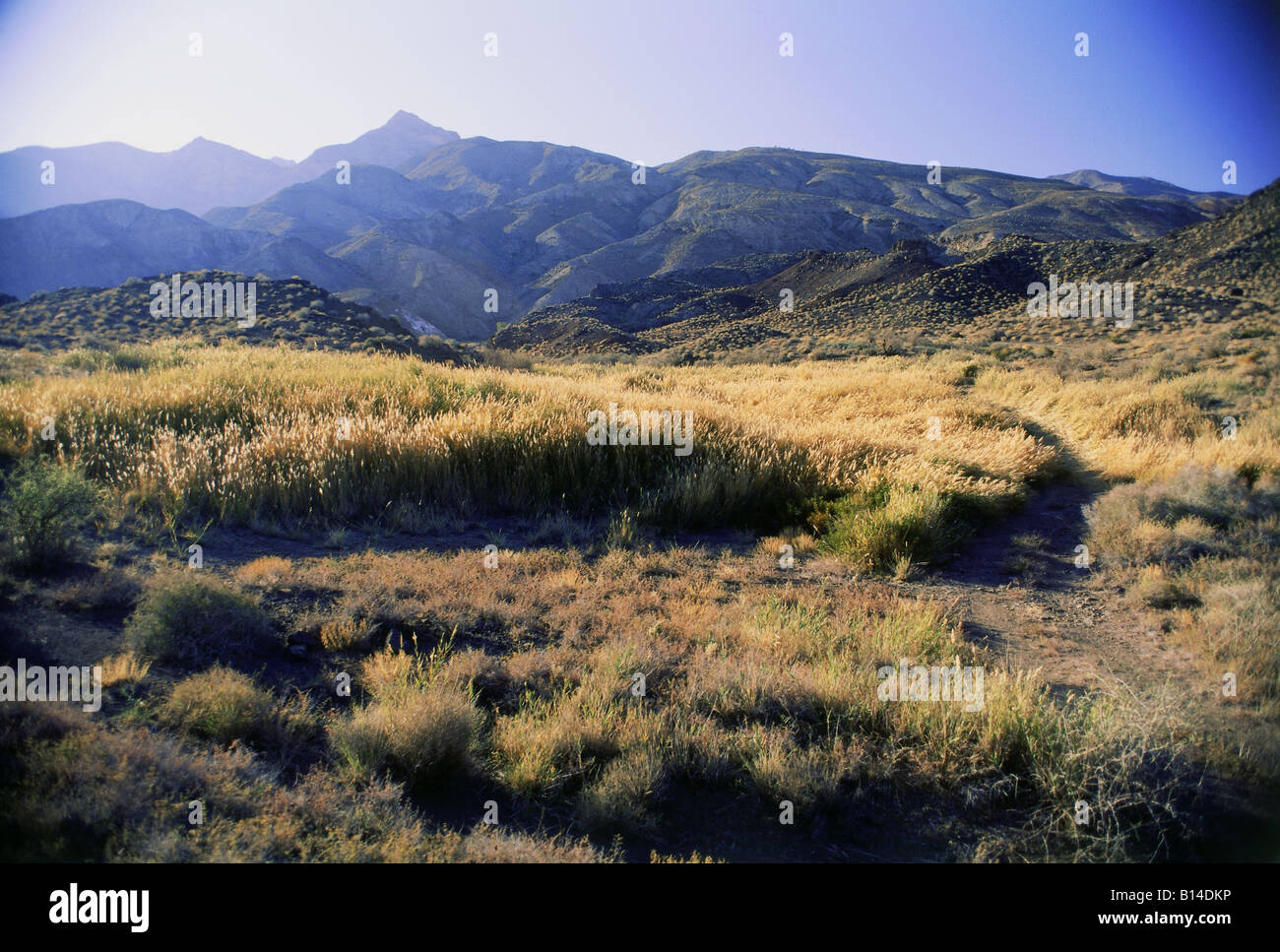 geography / travel, Iran, landscapes, Kavir National Park, near Dasht-e ...