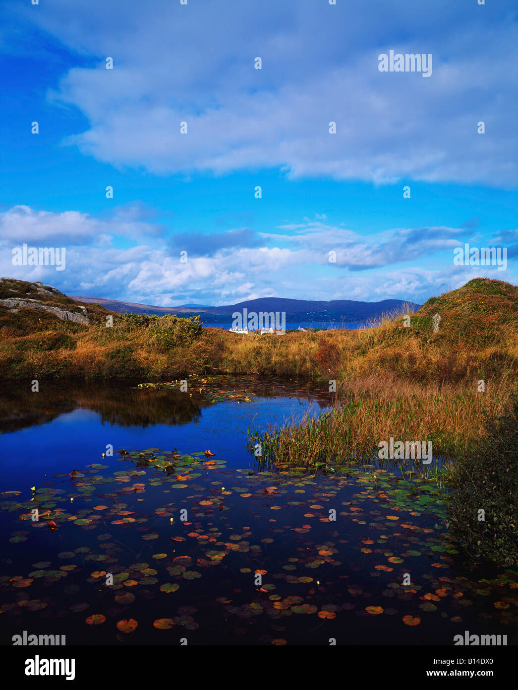 Dunmanus Bay, Co Cork, Ireland Stock Photo - Alamy