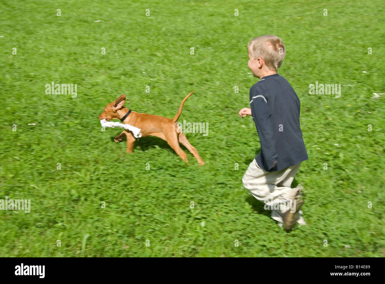 Stock photo of an eight year old boy playing and running around the ...