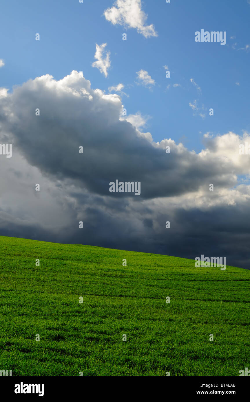 green field in springtime Stock Photo - Alamy