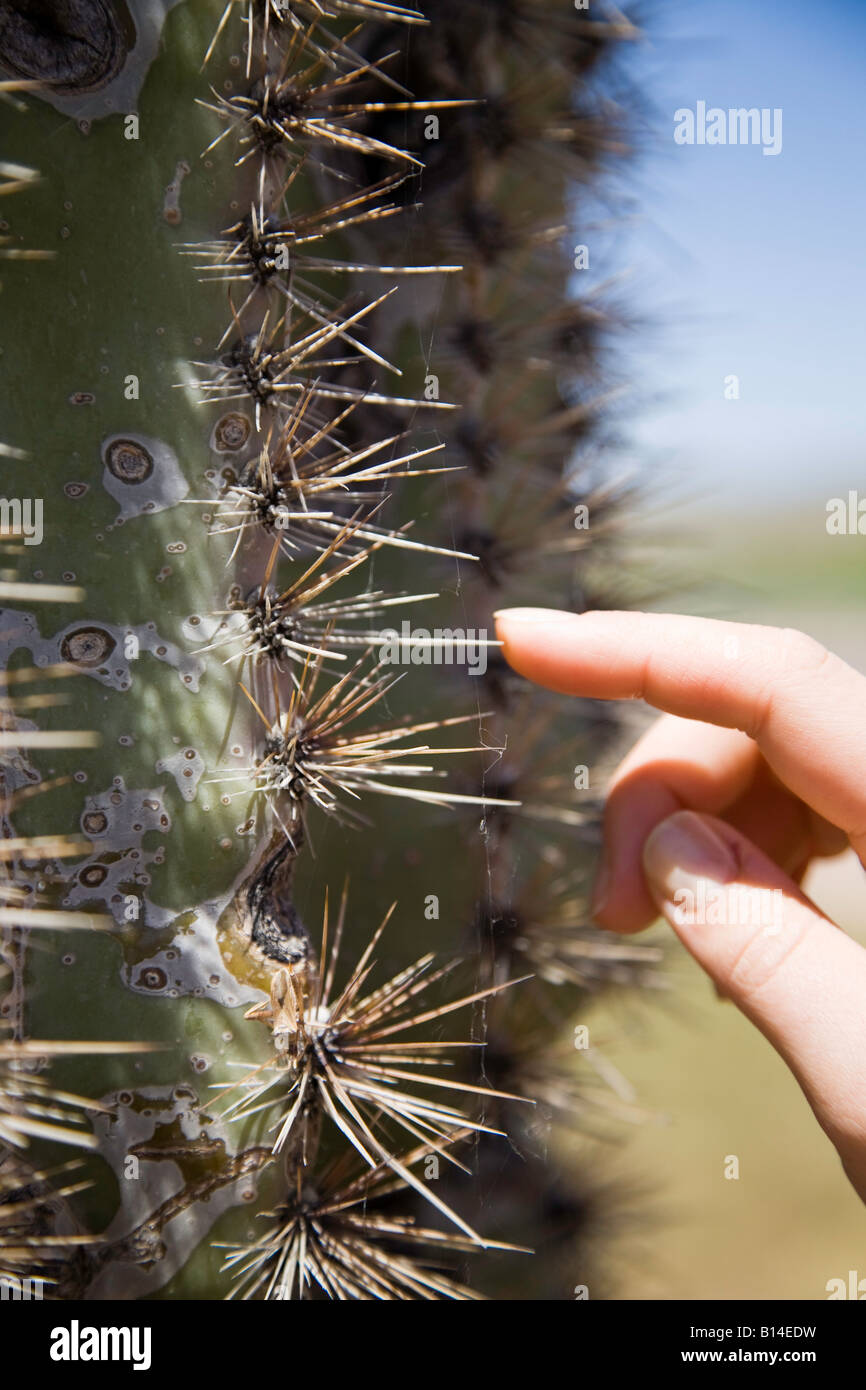 Cactus Spine Poking Finger Stock Photo - Alamy