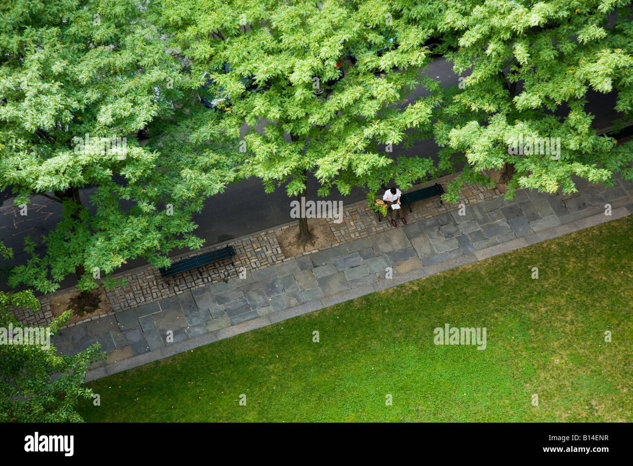 Aerial view of a man sitting on a park bench in Battery Park Stock ...