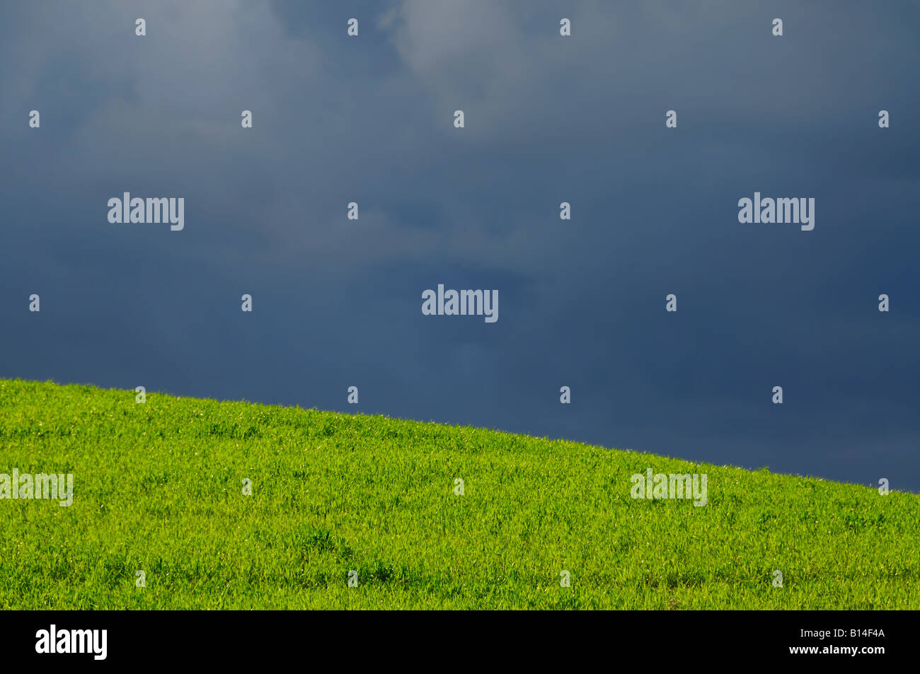 green field in springtime Stock Photo - Alamy