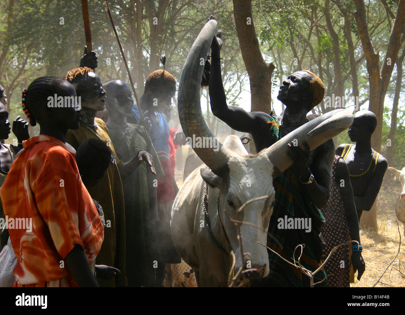 Dinka tribe hi-res stock photography and images - Alamy