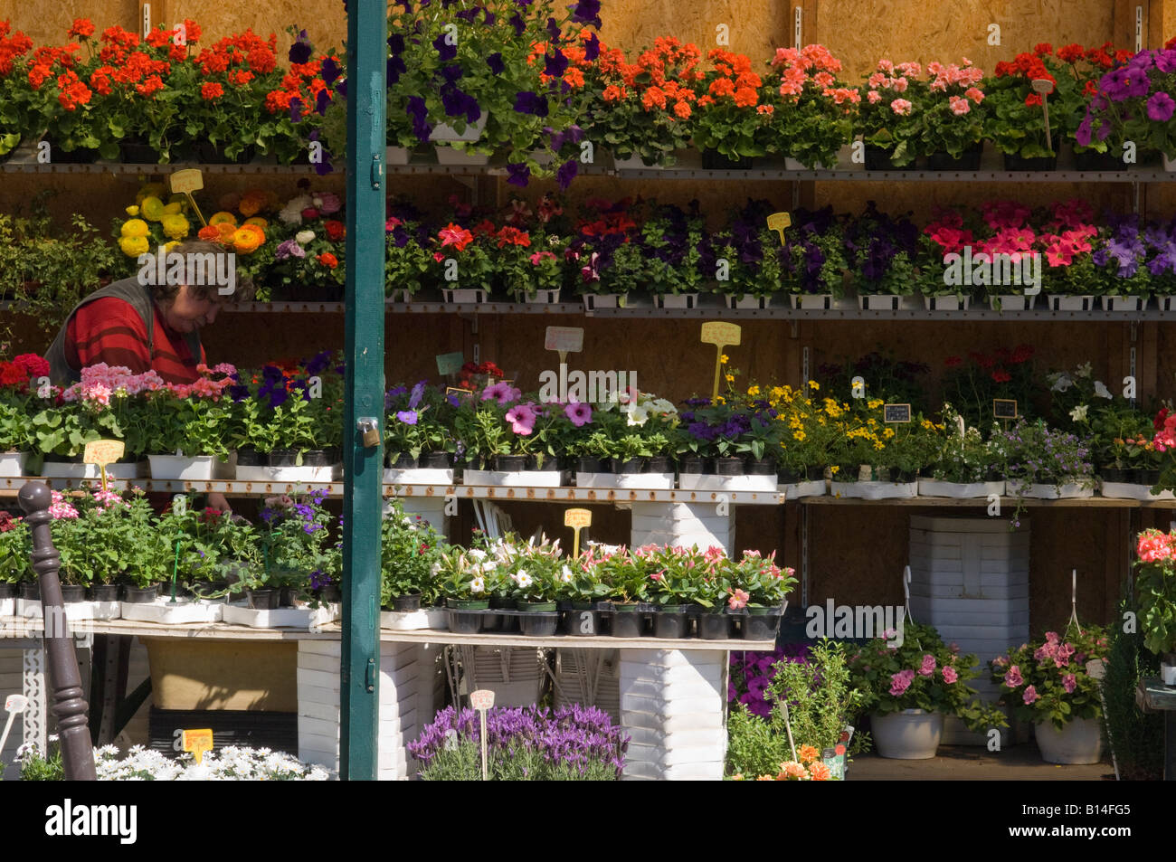 Paris flower shop hi-res stock photography and images - Alamy