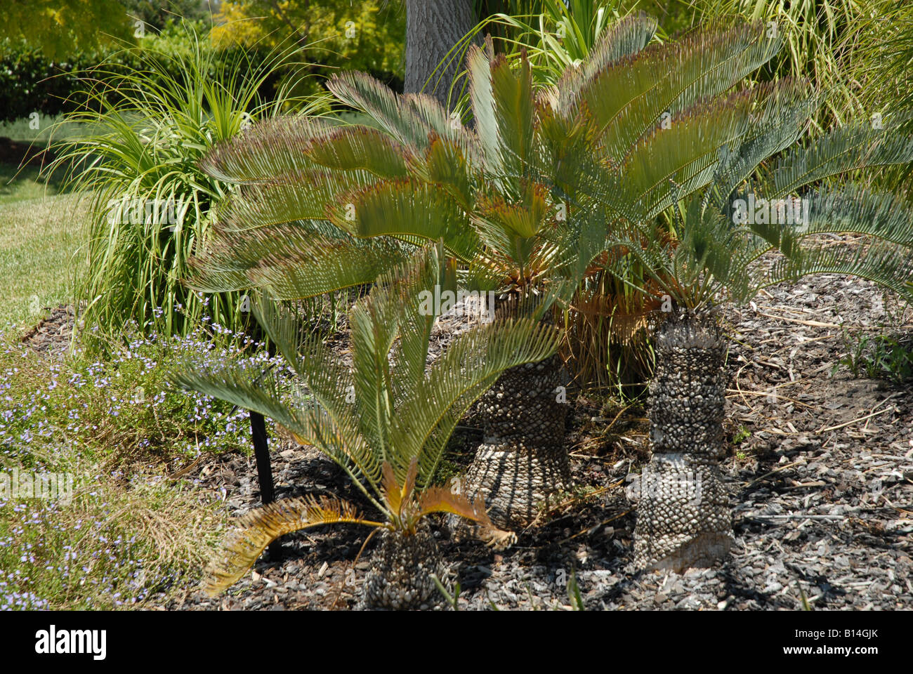 Well laid out extensive gardens,with many water features, unusual ...