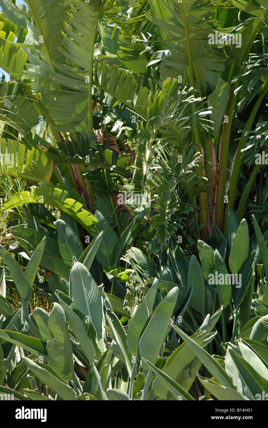 Well laid out extensive gardens,with many water features, unusual ...