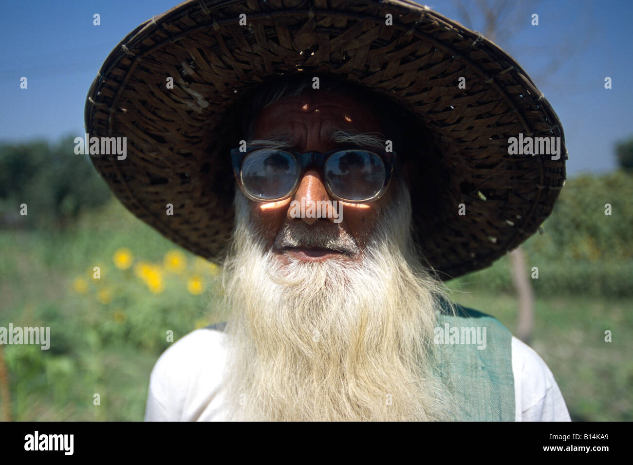 Old man working in the fields rural Bangladesh Village Stock Photo - Alamy