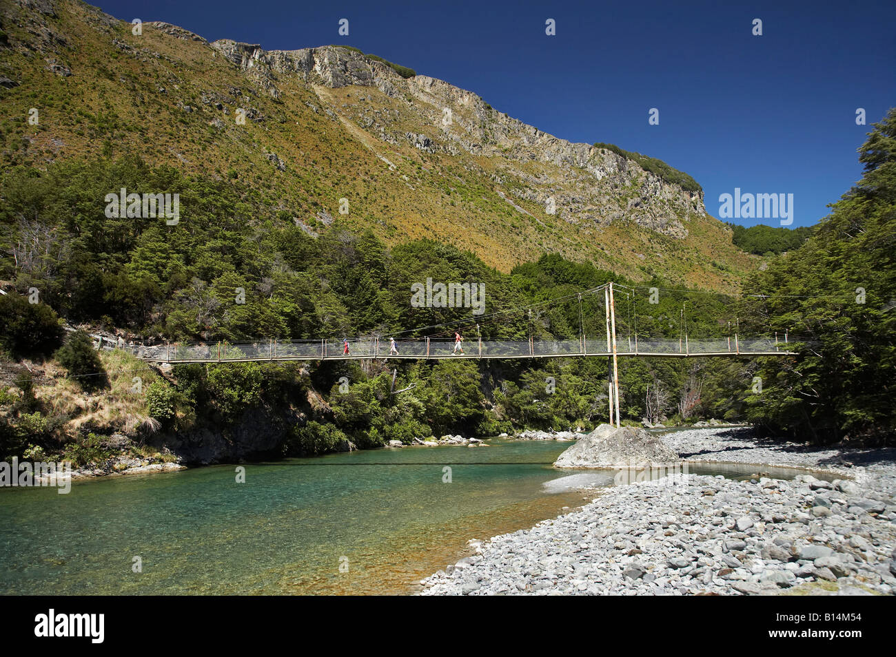 Family on Foot Bridge crossing Greenstone River near Lake Wakatipu ...