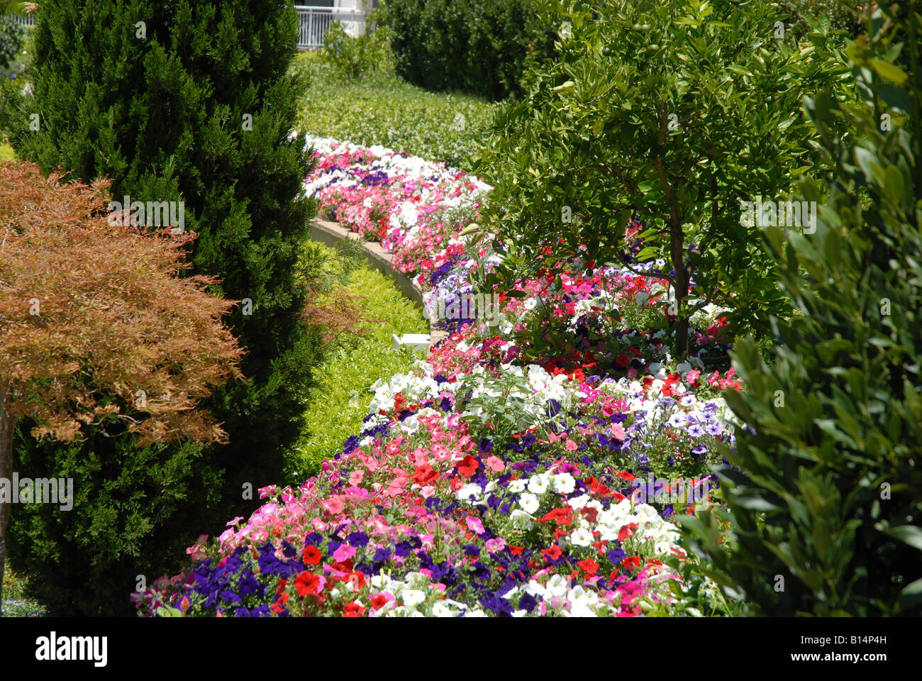 Well laid out extensive gardens,with many water features, unusual ...