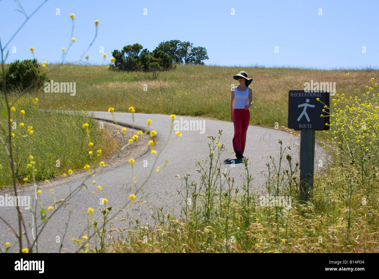 Beautiful skinny girl hi-res stock photography and images - Alamy