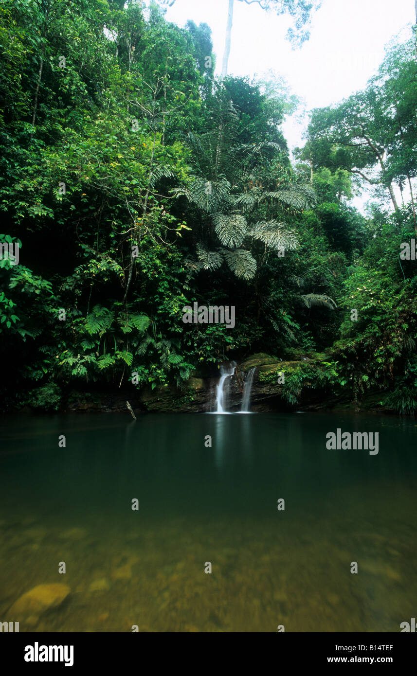 Labi Falls, Brunei Darussalam Stock Photo - Alamy
