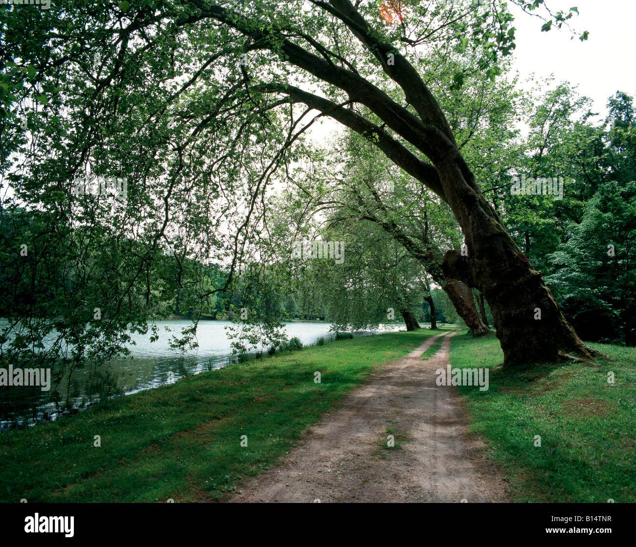 Ermenonville, Parc Jean-Jaques Rousseau, Park Stock Photo - Alamy