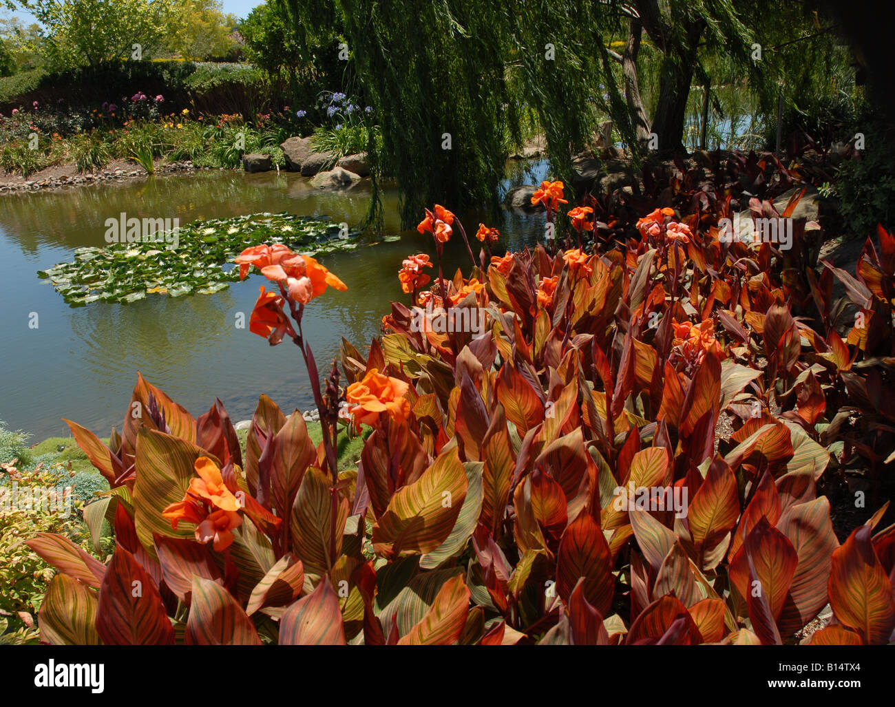 Well laid out extensive gardens,with many water features, unusual ...