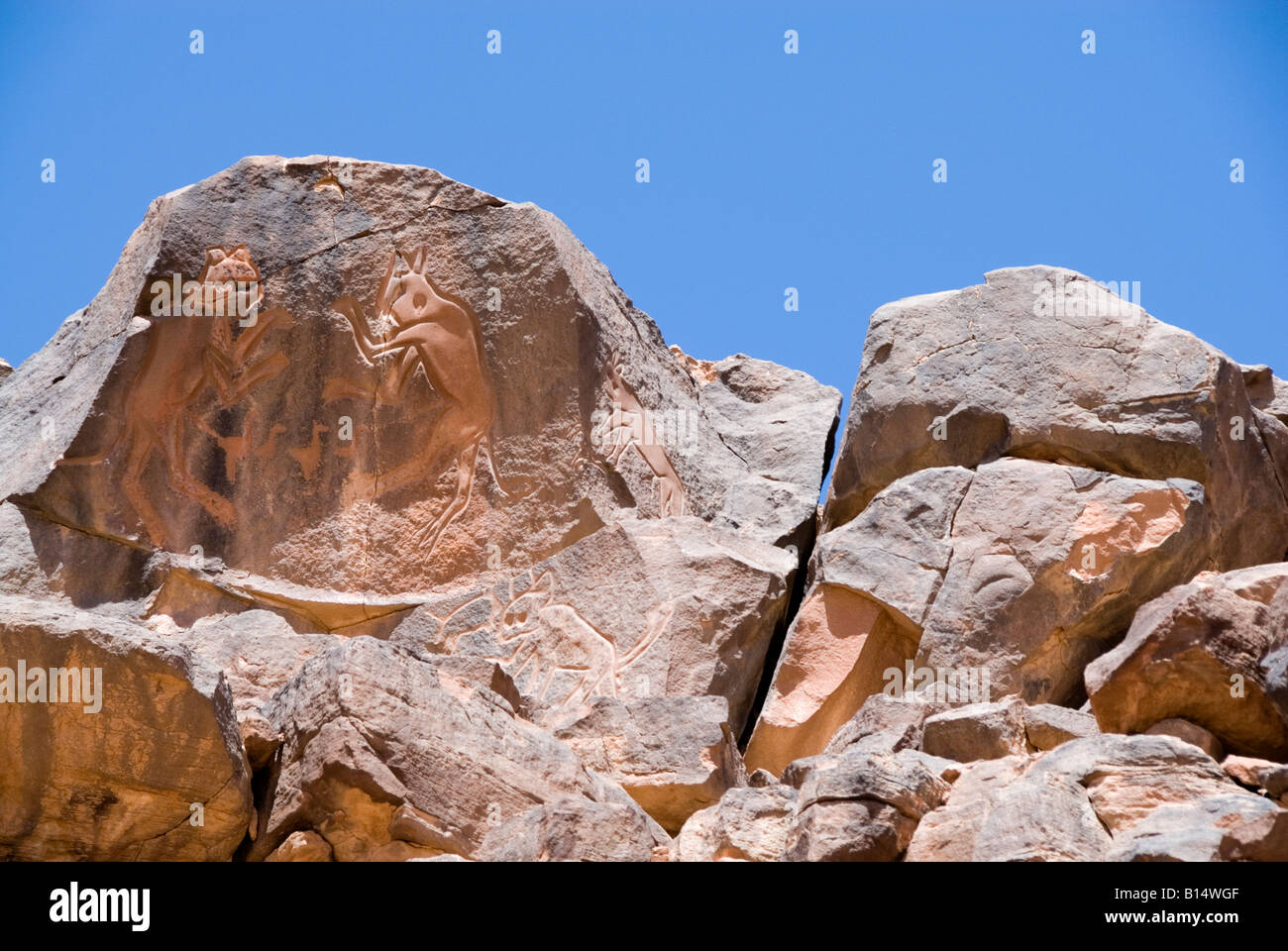 Fighting Cats Rock Art, Wadi Methkandouch, Libyan Sahara Stock Photo ...