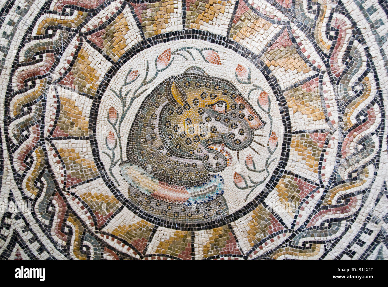Leopard head mosaic in the Roman Museum, Sabratha Stock Photo - Alamy