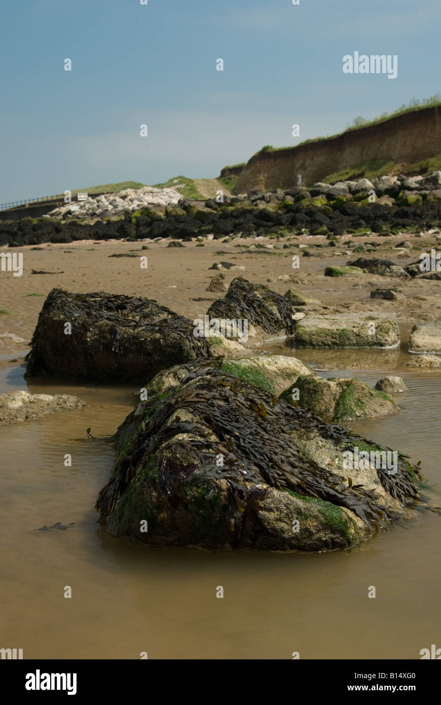 Rocks on a beach Stock Photo - Alamy