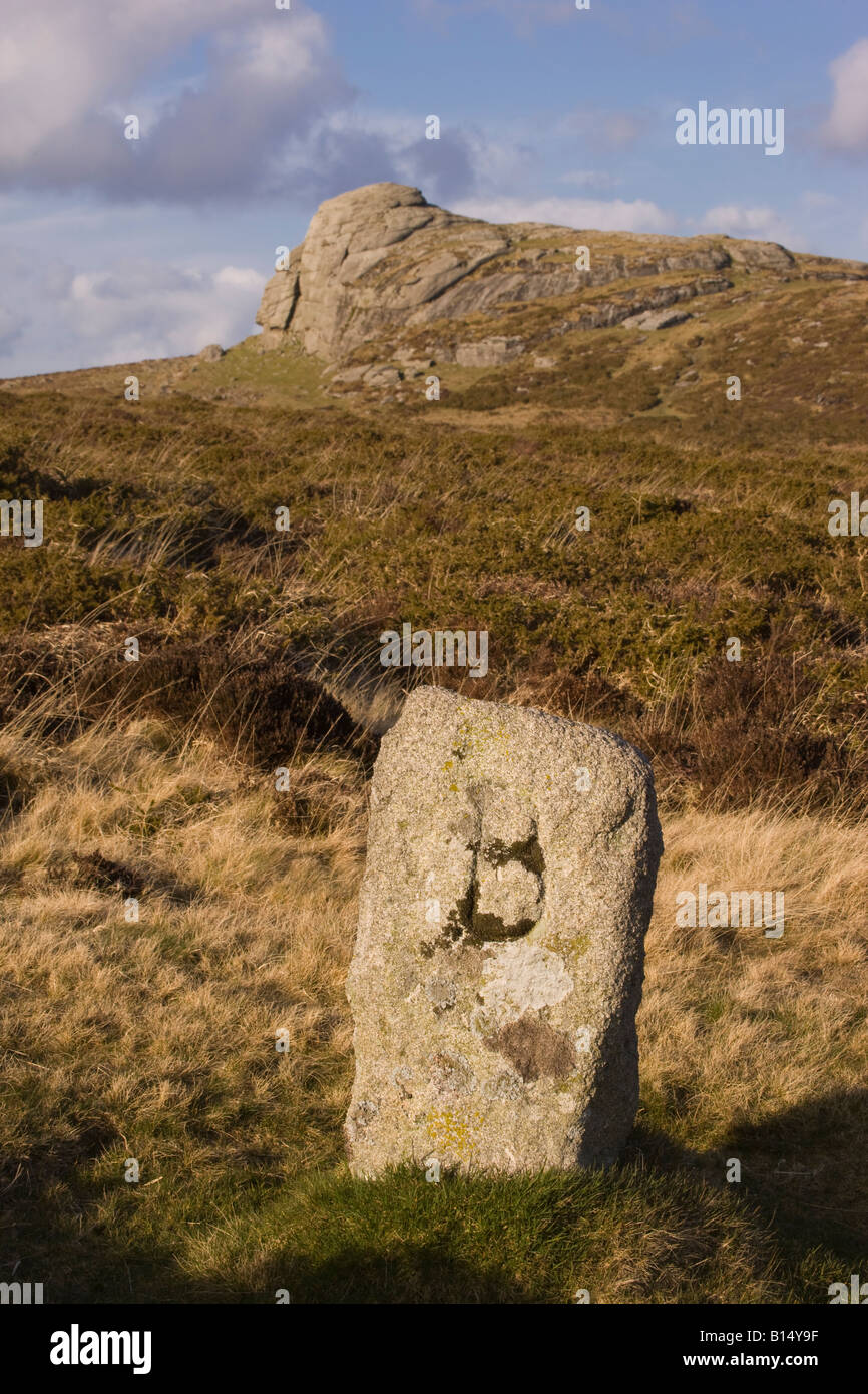 View of Haytor in evening sunlight from Haytor Down Stock Photo - Alamy
