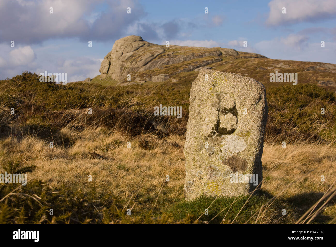 View of Haytor in evening sunlight from Haytor Down Stock Photo - Alamy