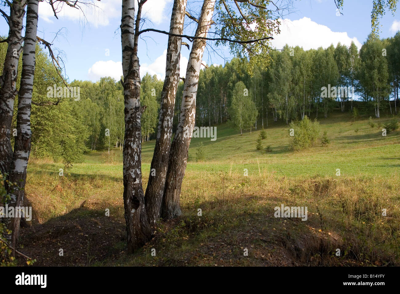 Rural landscape central russia hi-res stock photography and images - Alamy