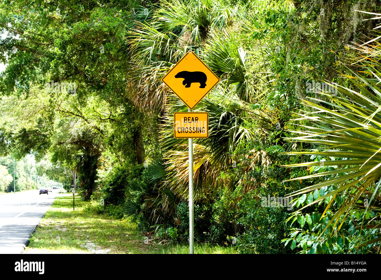 Yellow sign for bear crossings on Highway 46 near Orlando, Florida ...