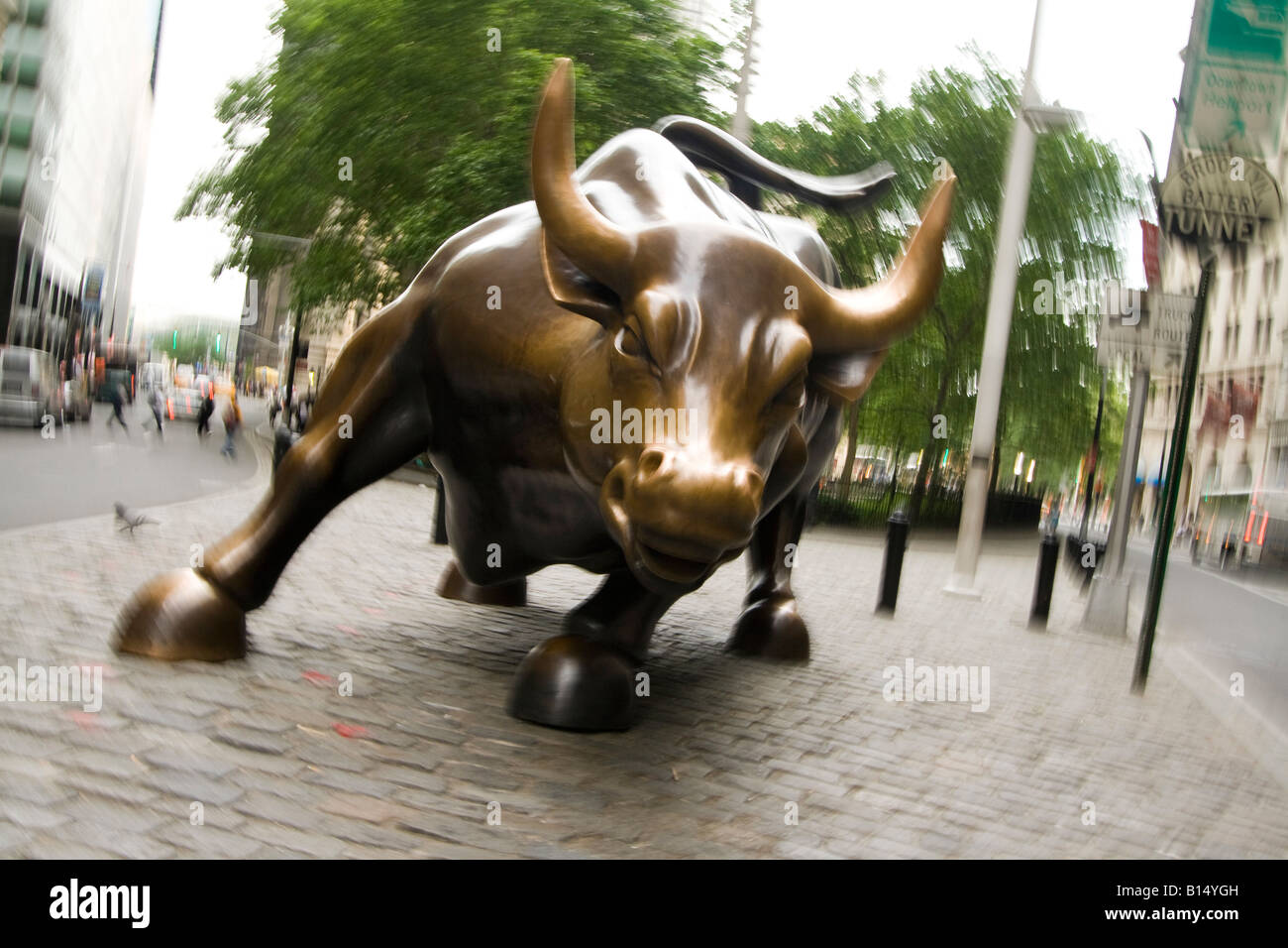 Charging bull hi-res stock photography and images - Alamy