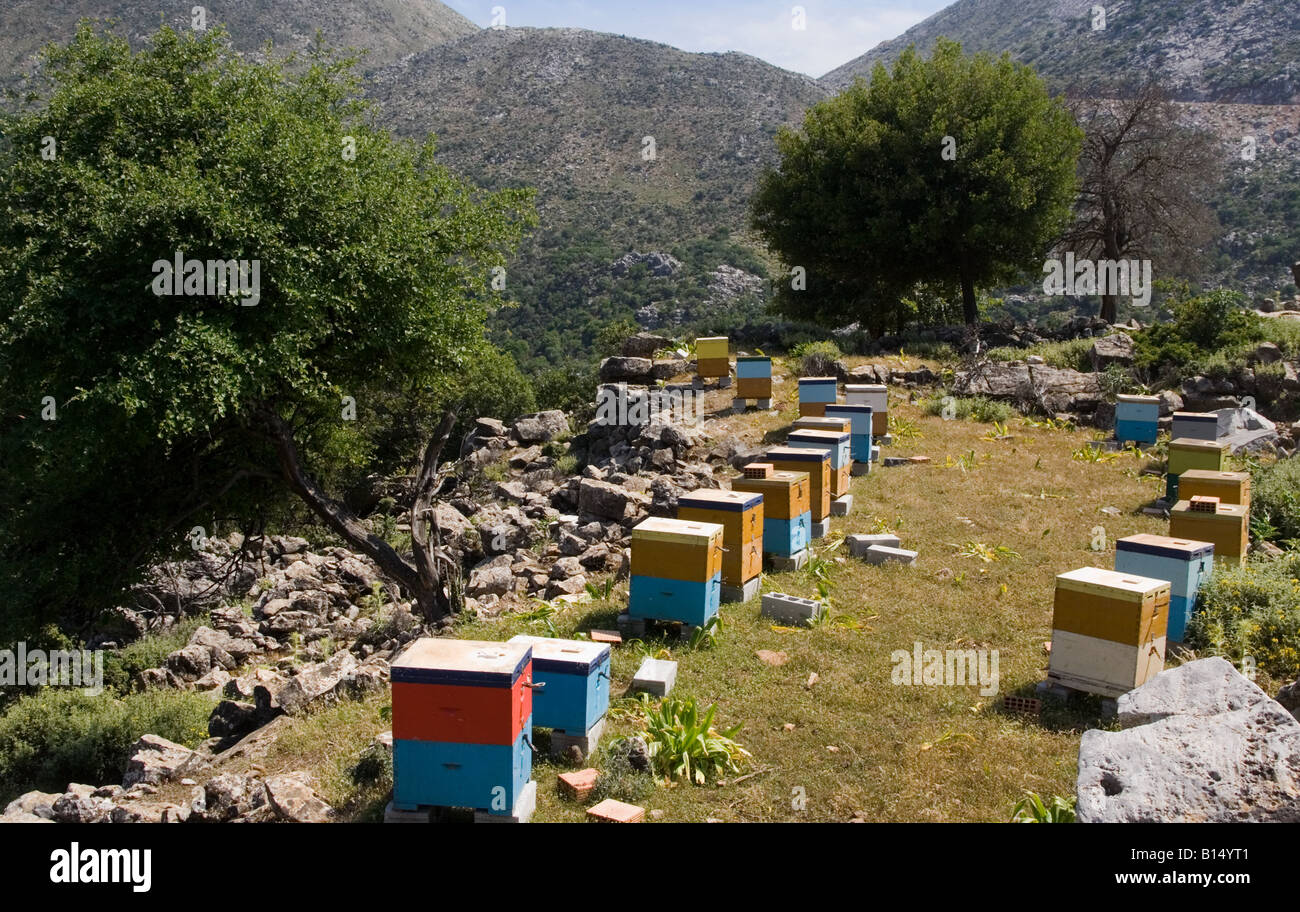 Bee Hives Crete Greece Stock Photo - Alamy