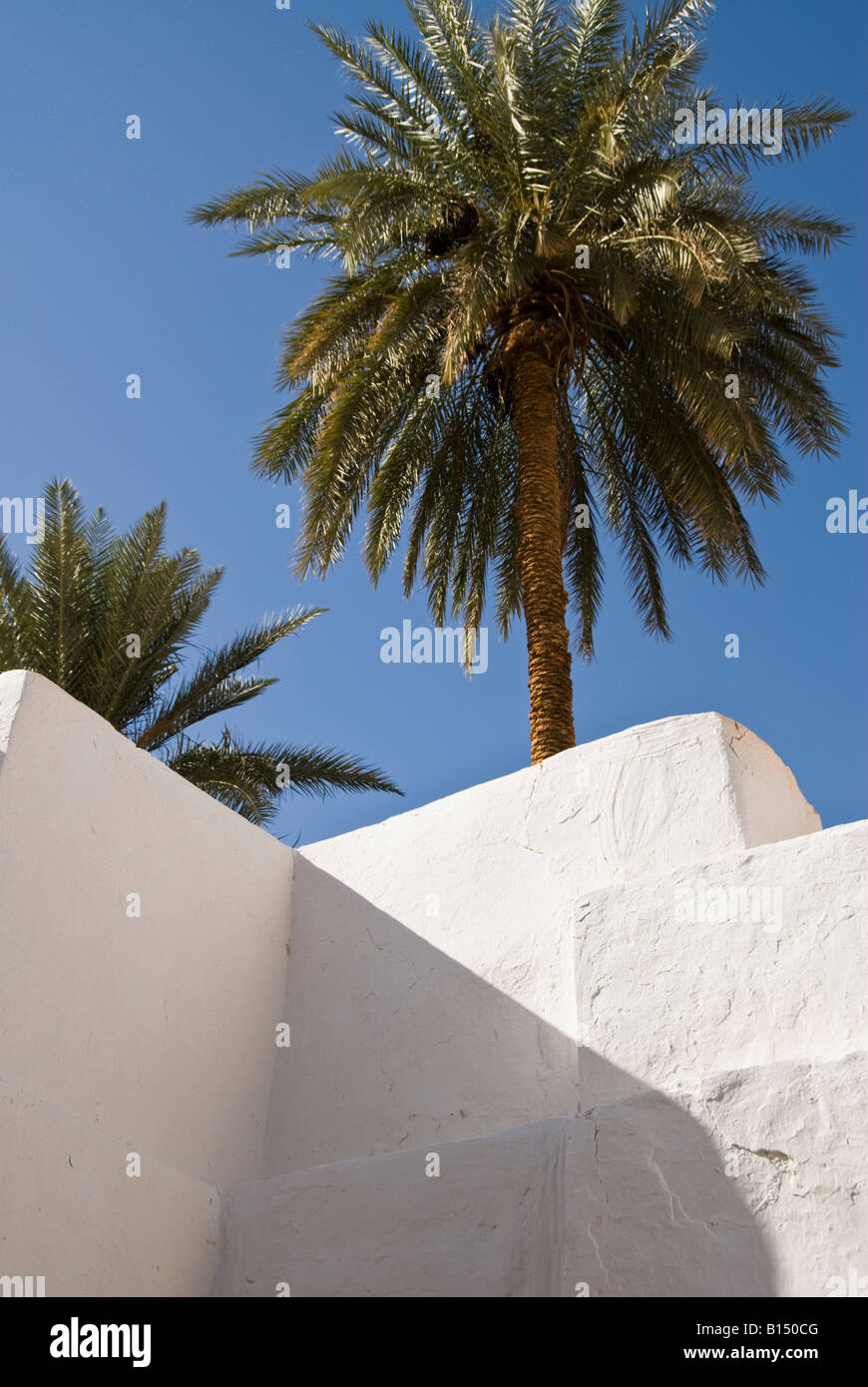 Palm tree above wall, old city of Ghadames Libya Stock Photo - Alamy