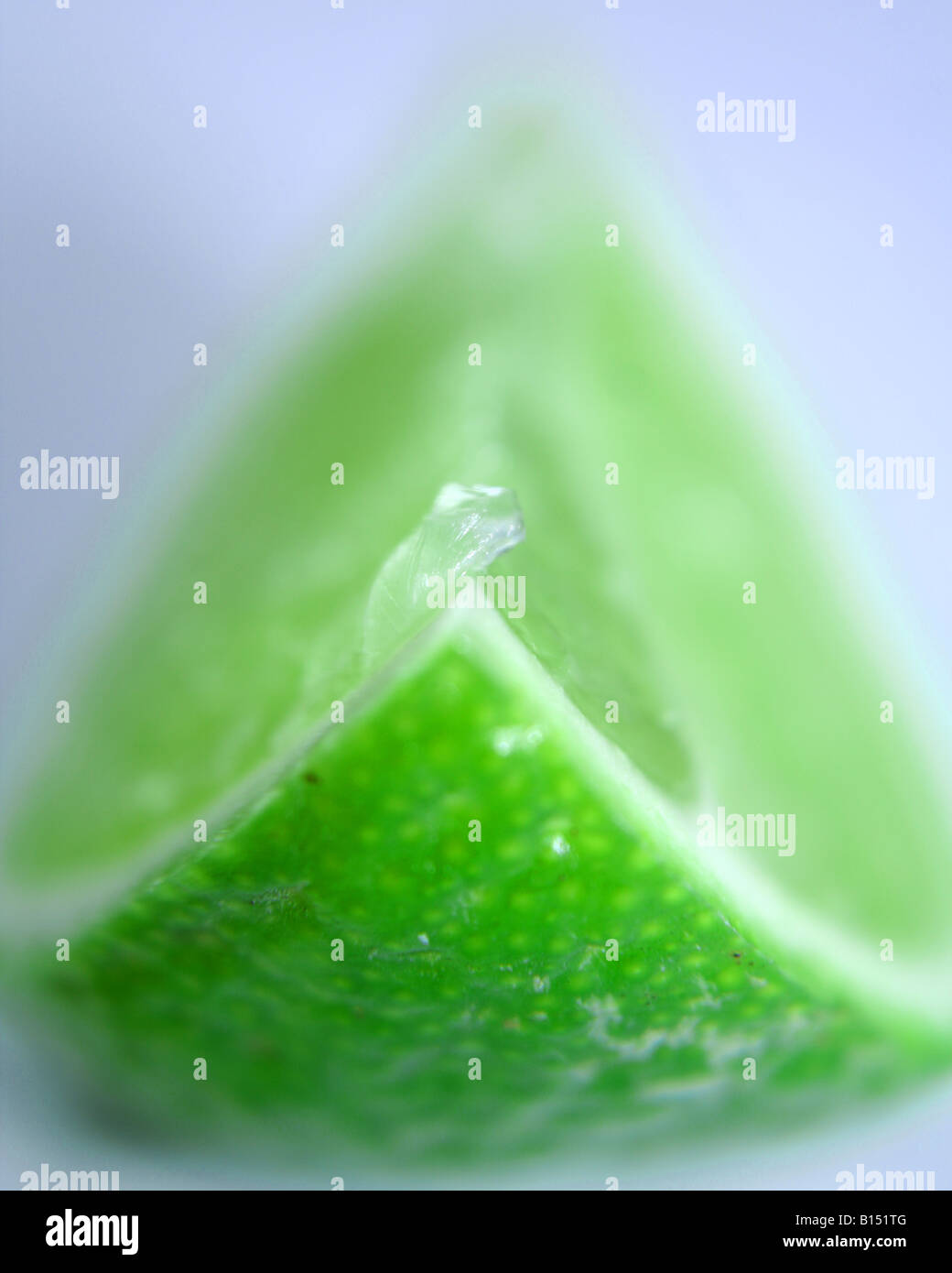 Macro slice of Lime Stock Photo - Alamy