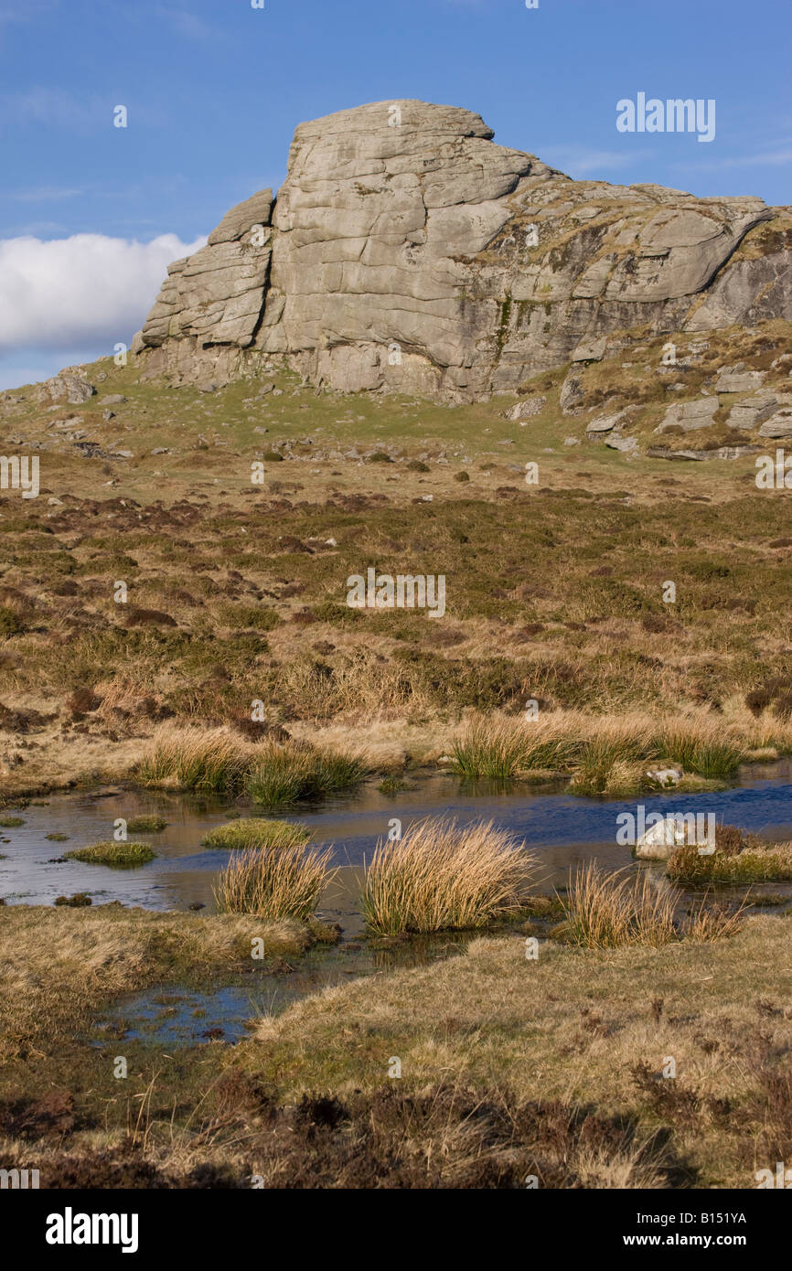 View of Haytor in evening sunlight from Haytor Down Stock Photo - Alamy