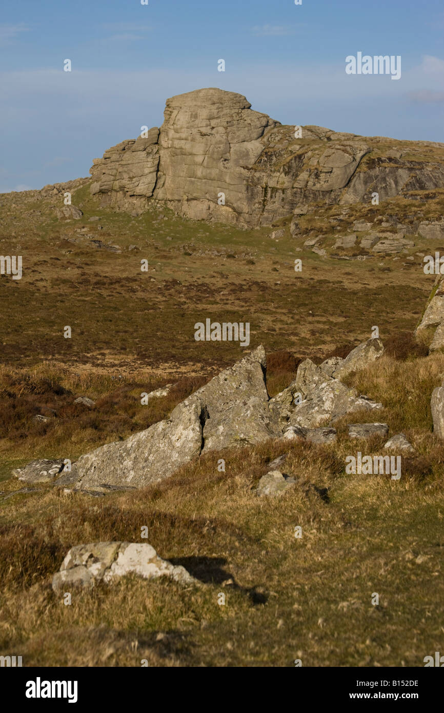 View of Haytor in evening sunlight from Haytor Down Stock Photo - Alamy