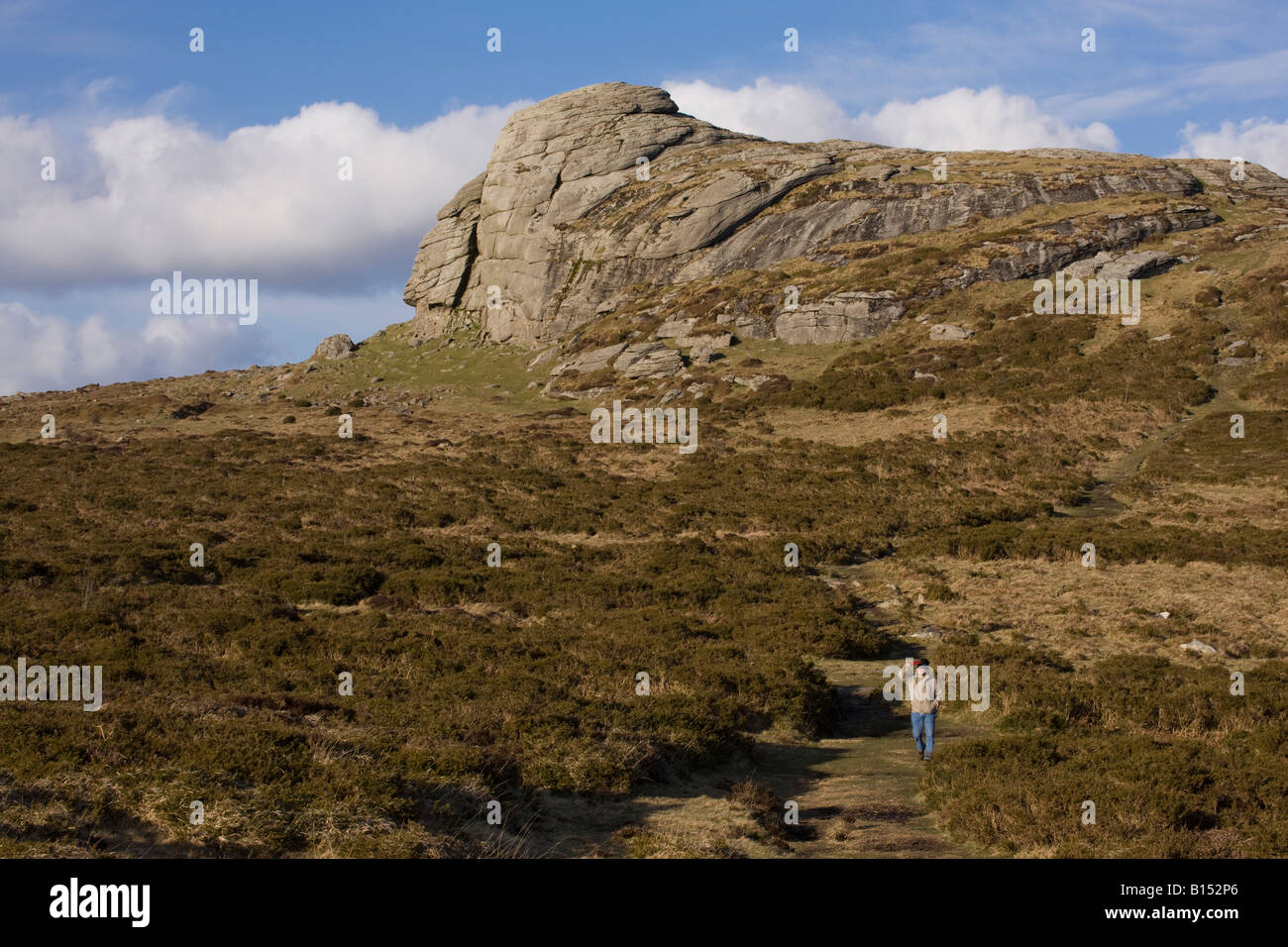 View of Haytor in evening sunlight from Haytor Down Stock Photo - Alamy