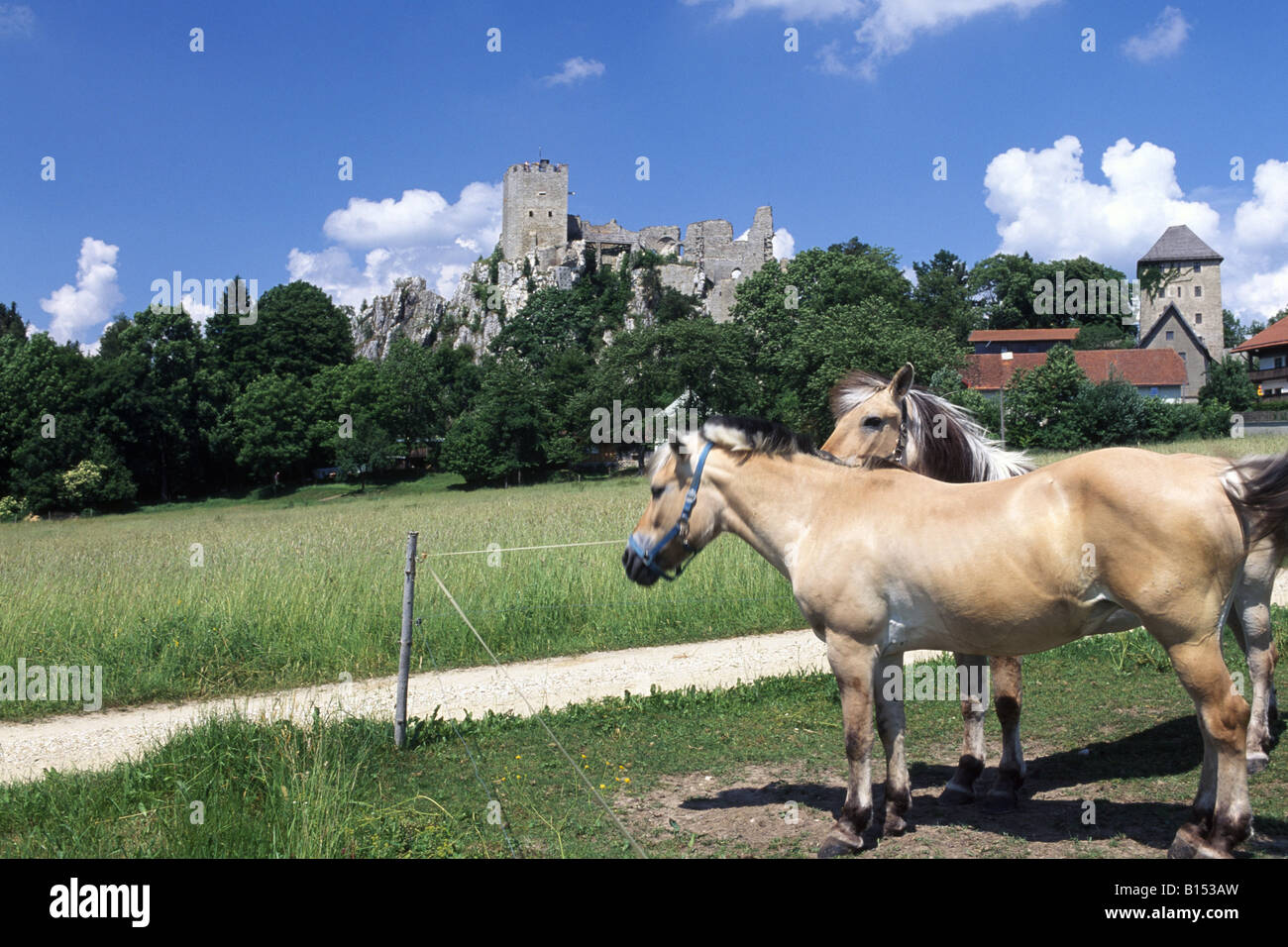Horses in front of the Weissenstein Castle Bavarian Forest Bavaria ...