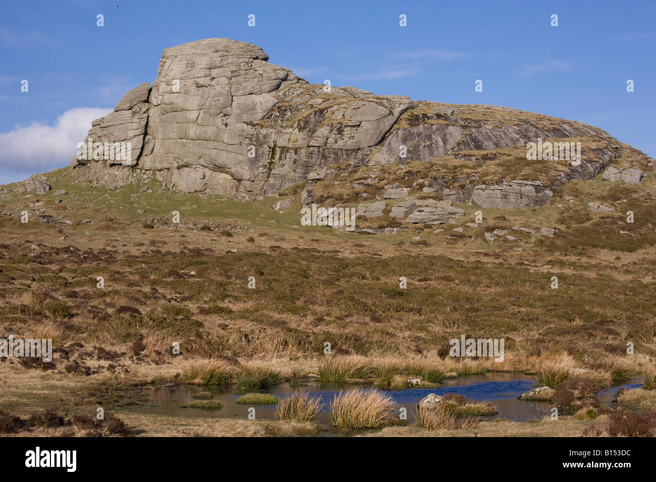 View of Haytor in evening sunlight from Haytor Down Stock Photo - Alamy